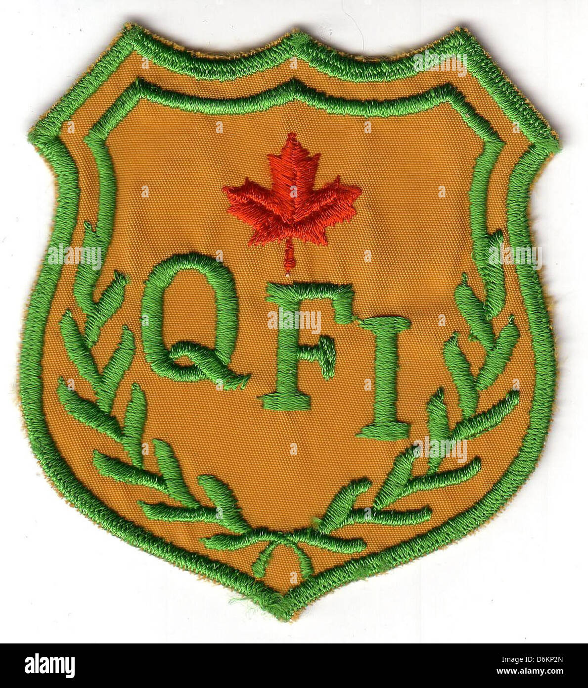 This image showcases the QFI Badge, a symbol representing a qualified flying instructor. The ...