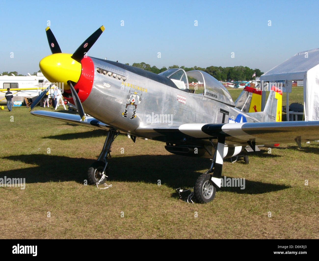 The Titan T-51 Mustang is a modern, recreational version of the iconic ...