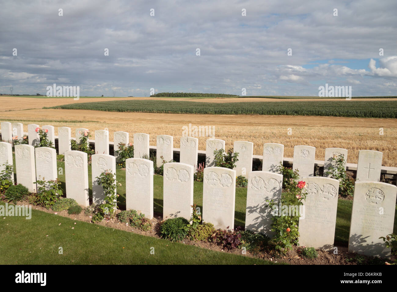 Headstones in the CWGC Stump Road Cemetery, Grandcourt, Somme, France ...