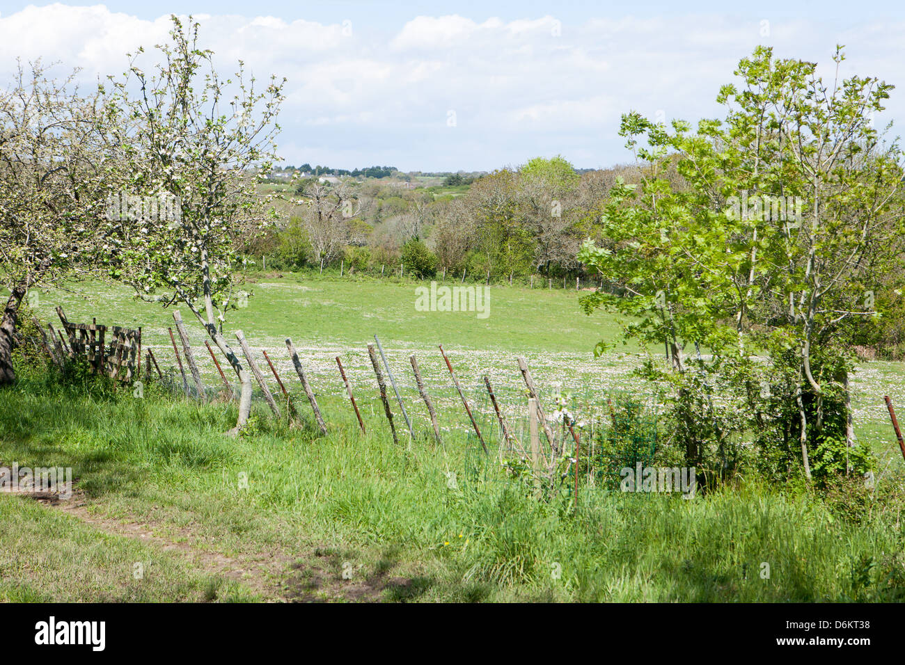 Brittany border hi-res stock photography and images - Alamy