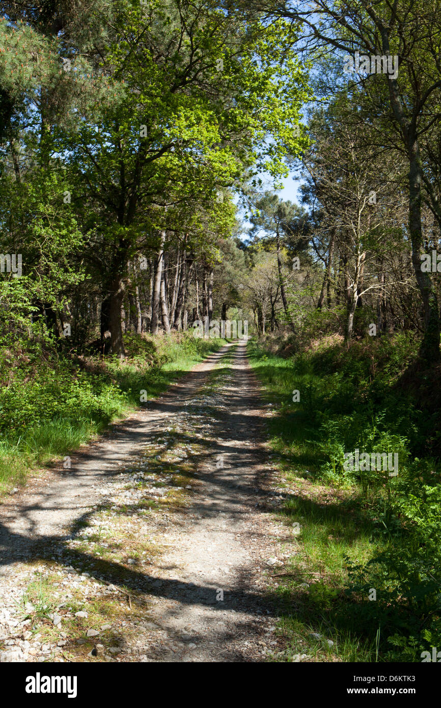 Silent trail hi-res stock photography and images - Alamy