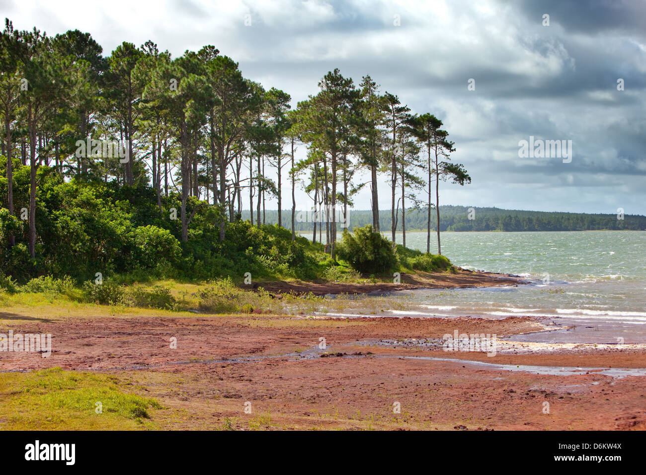 Mare-aux-Vacoas- the largest water reservoir of Mauritius Stock Photo ...