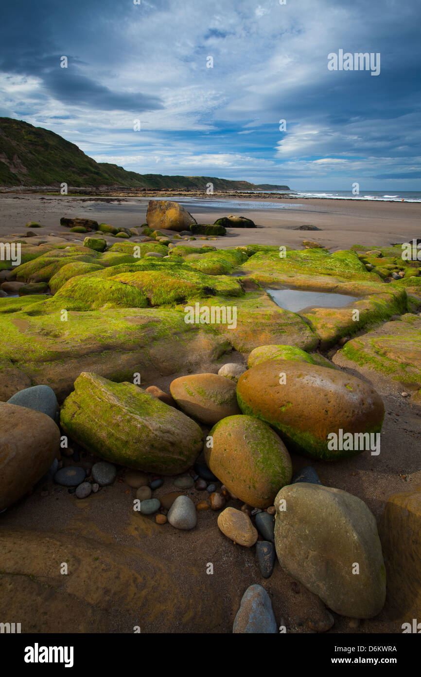 England, North Yorkshire, Scarborough. Scalby Ness Sands, located north ...