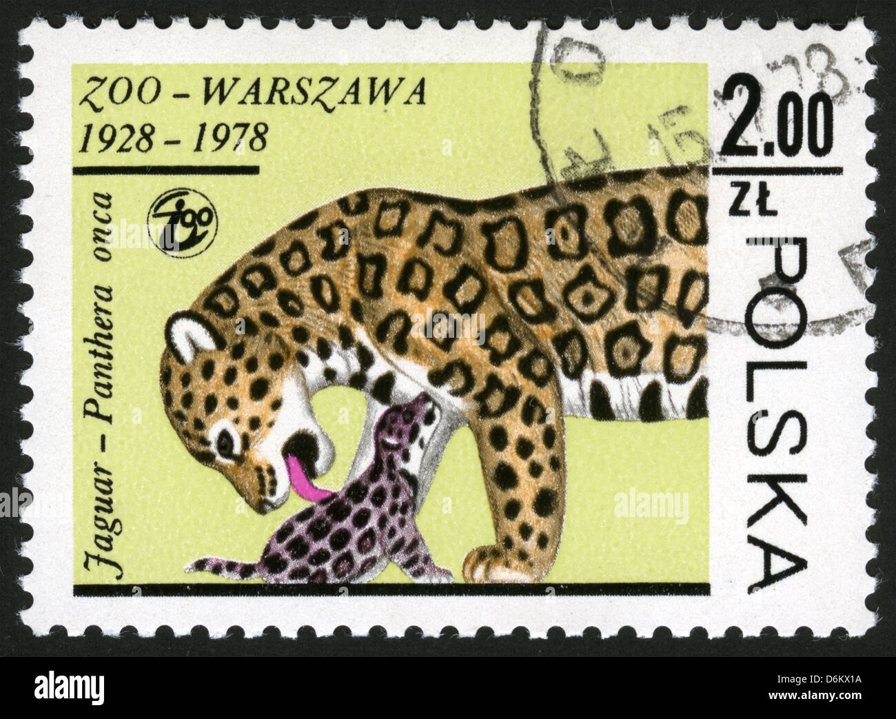 Leopard print detail hi-res stock photography and images - Alamy