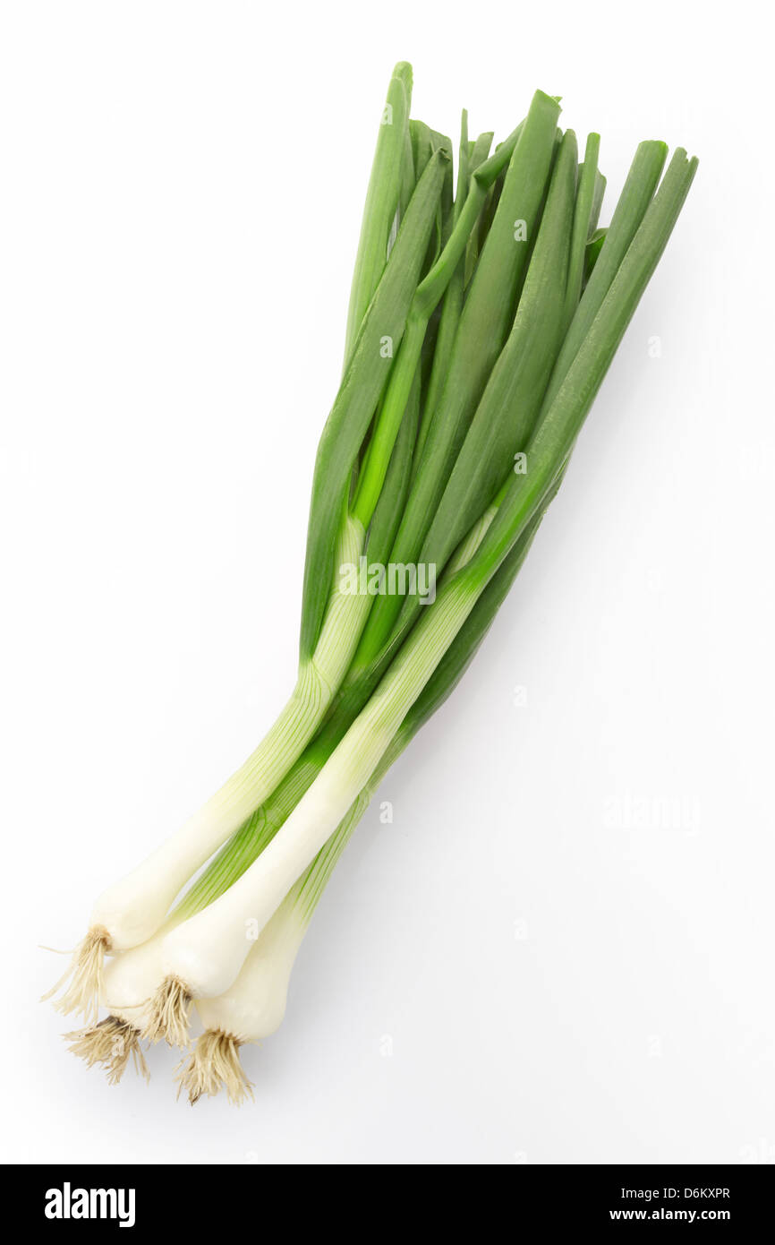 Fresh onion plant hi-res stock photography and images - Alamy