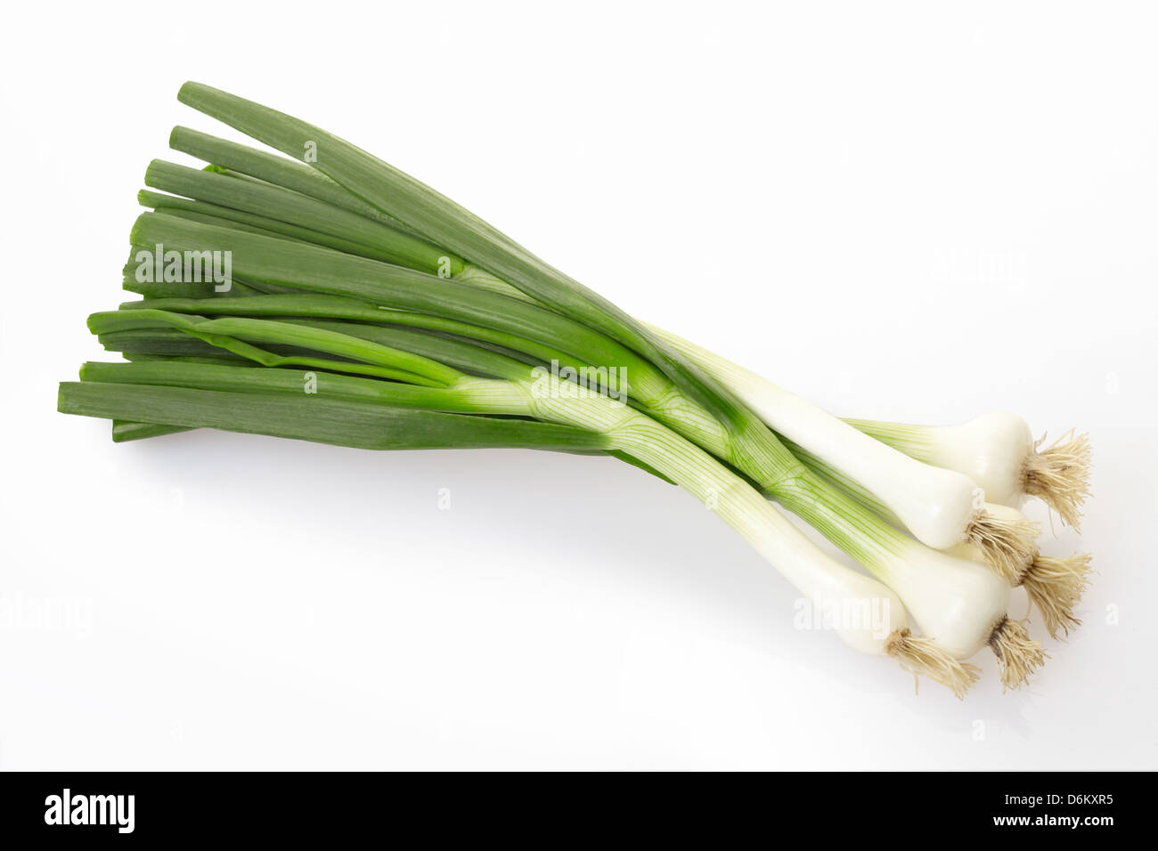 Fresh onion plant hi-res stock photography and images - Alamy