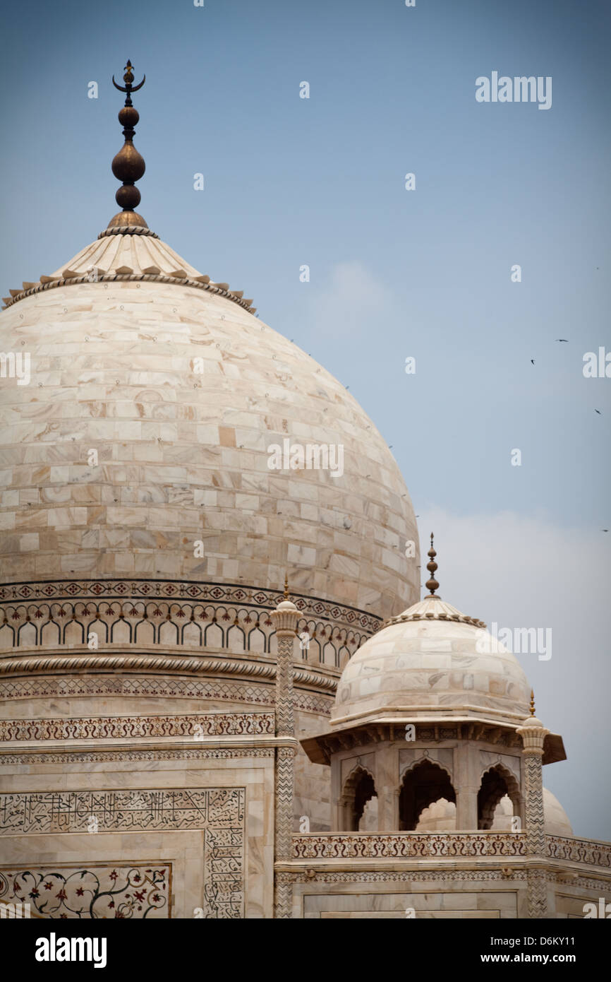 Domes on the Taj Mahal Stock Photo - Alamy
