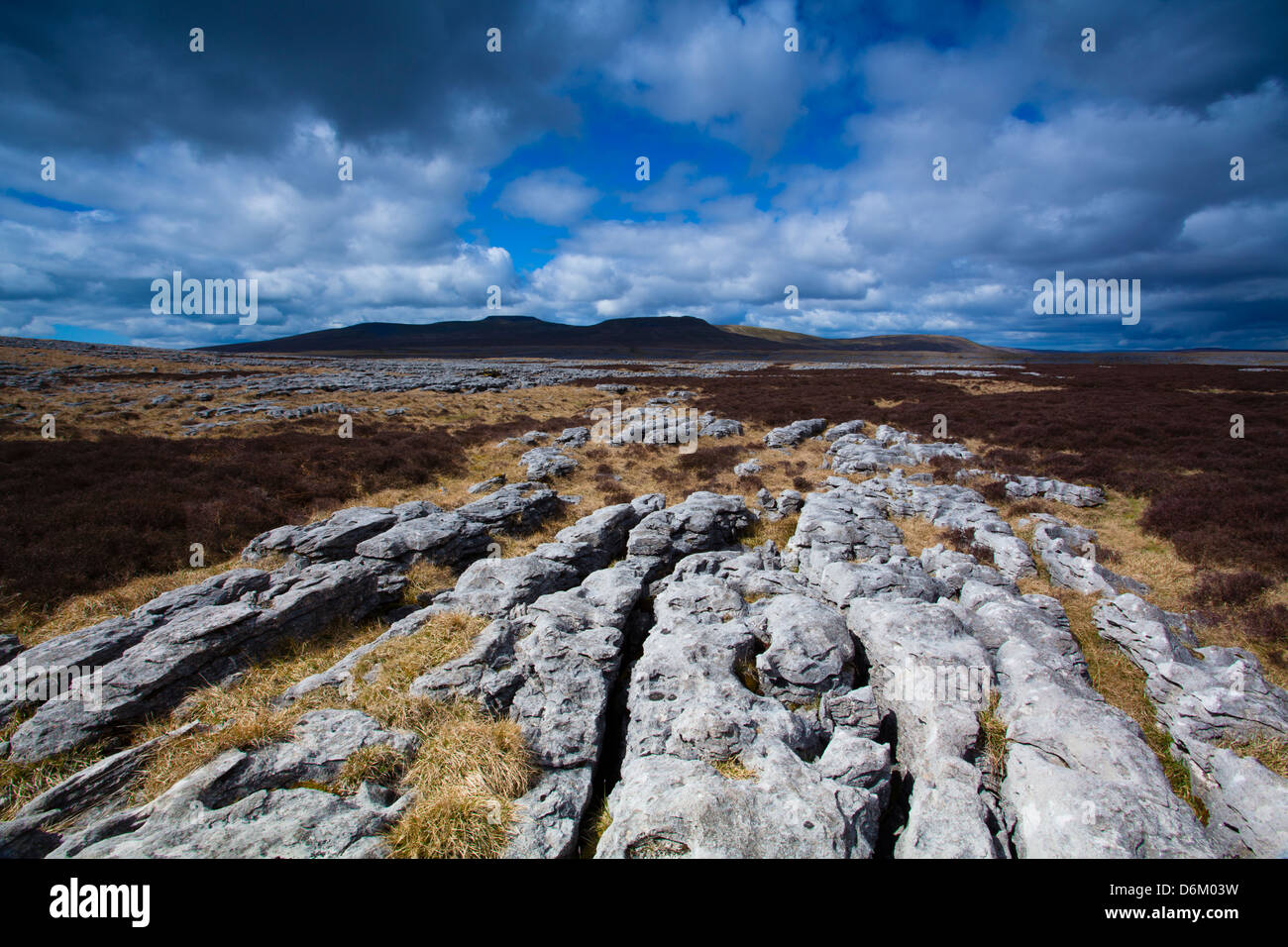 England, North Yorkshire, Yorkshire Dales National Park. Limestone ...