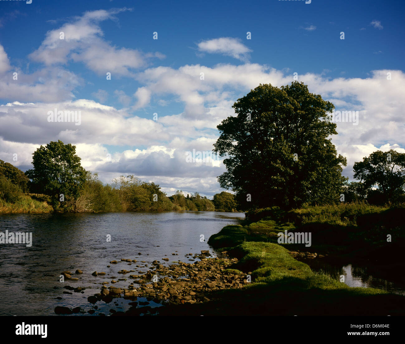 The River Ure flowing through the lower part of Wensleydale near to ...