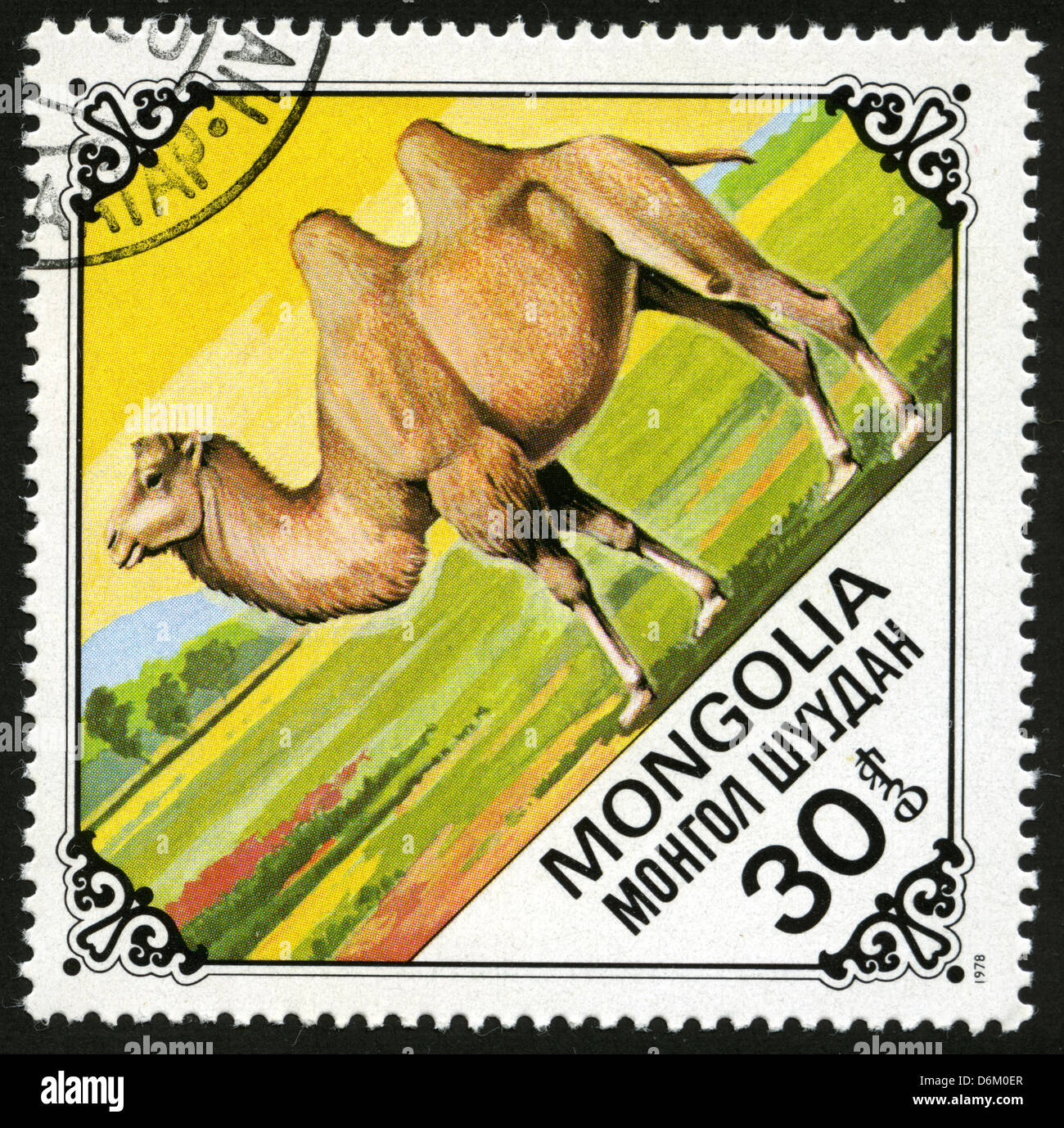 Camel typography hi-res stock photography and images - Alamy