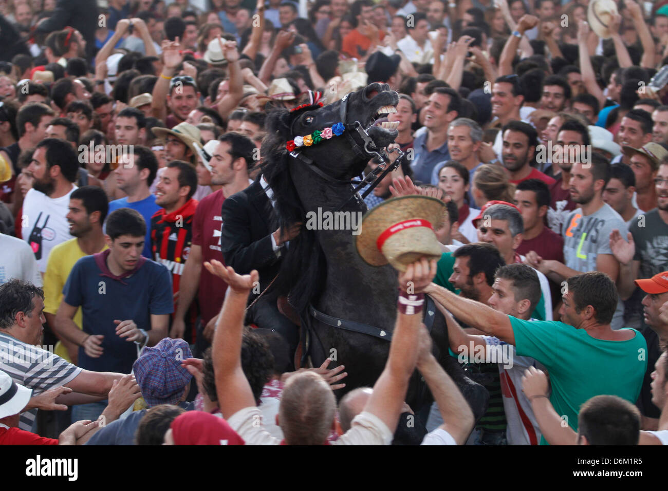 Animal crowd cheering hi-res stock photography and images - Alamy