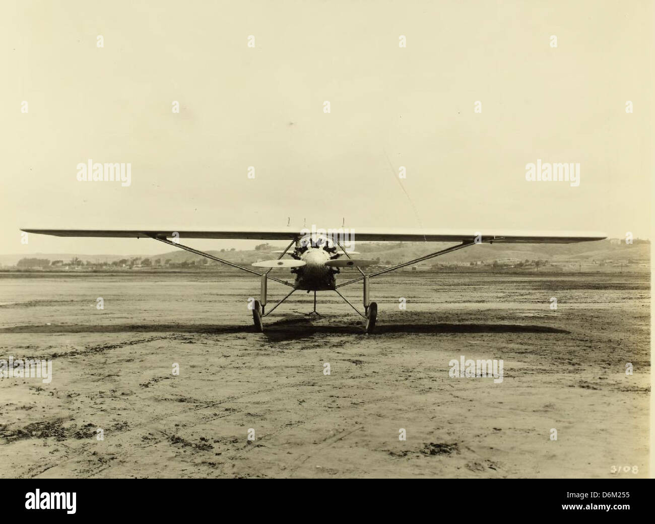Front view of Spirit, tail is propped Stock Photo - Alamy