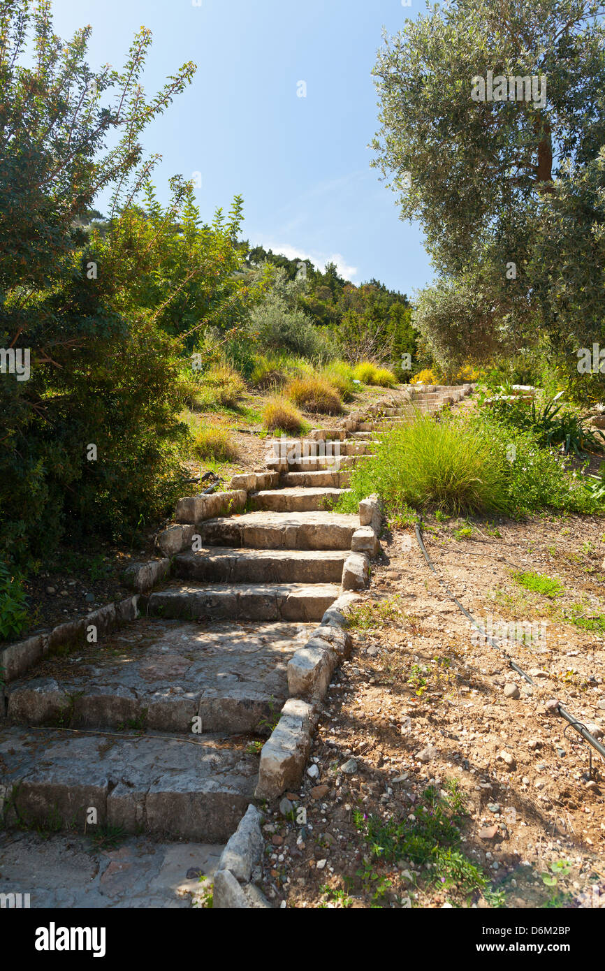 Botanical garden baths aphrodite cyprus hi-res stock photography and ...