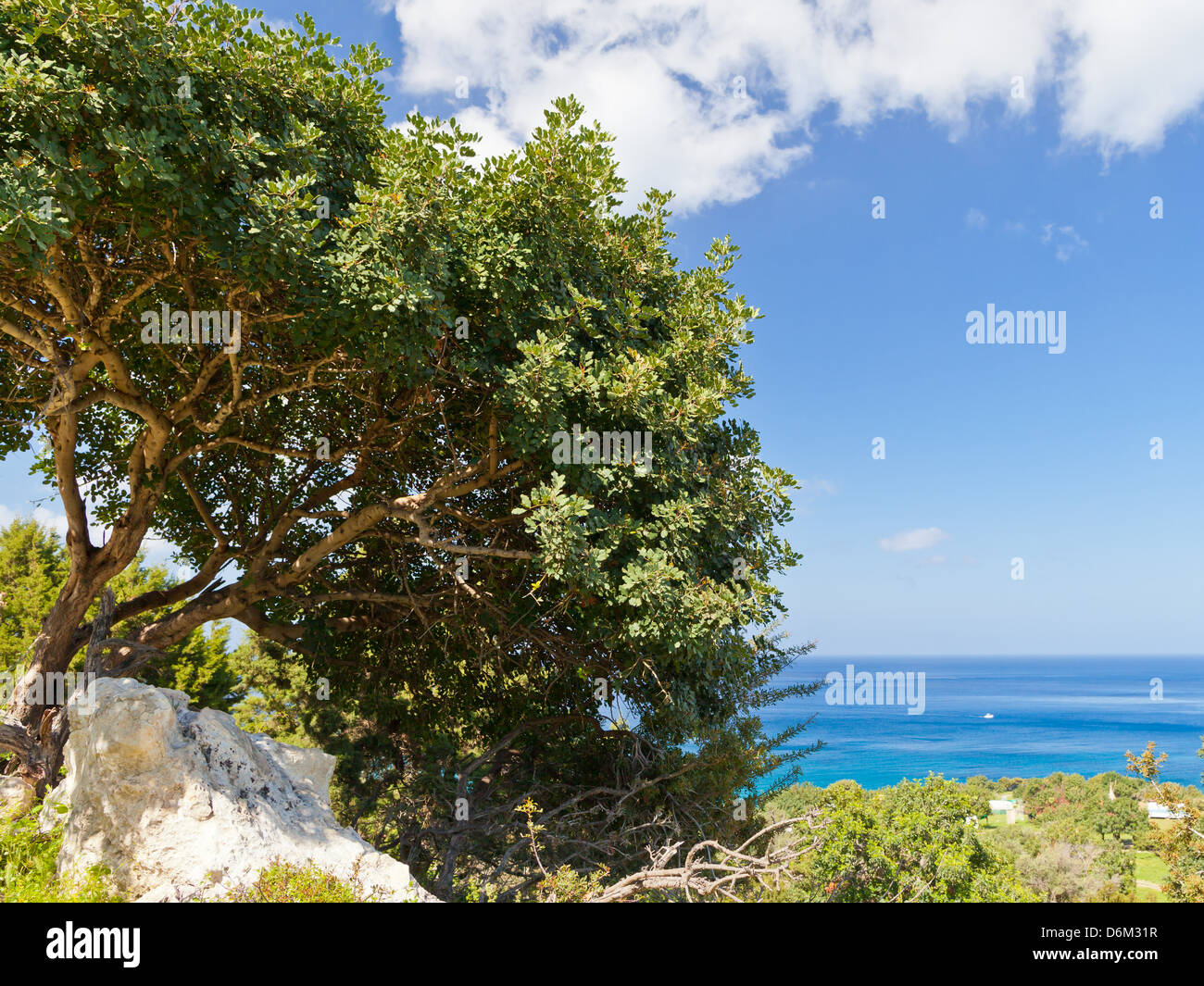 Baths of aphrodite cyprus hi-res stock photography and images - Alamy