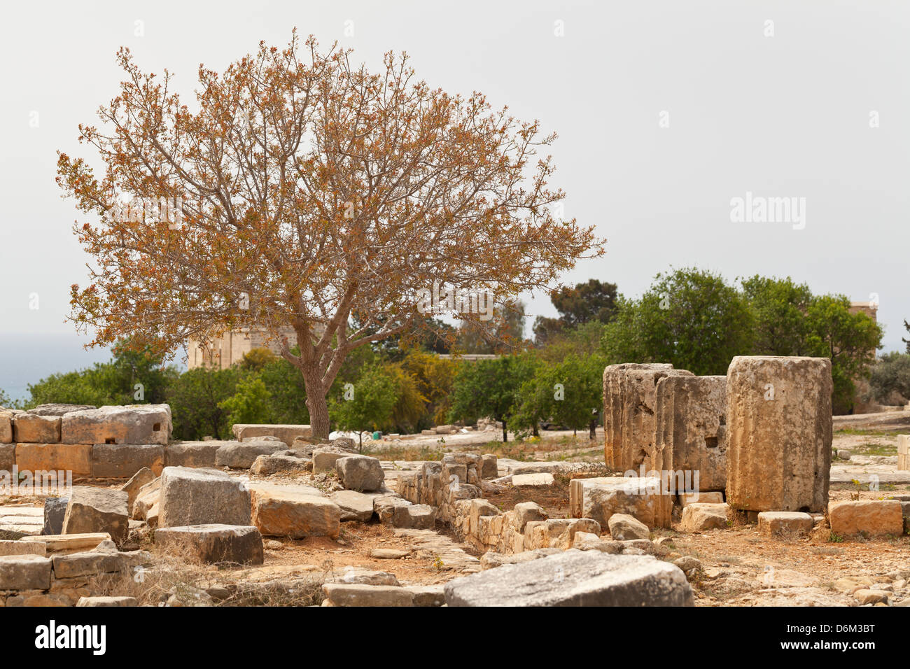 Cyprus, Kouklia - The sanctuary of the Paphian Aphrodite archaeological ...