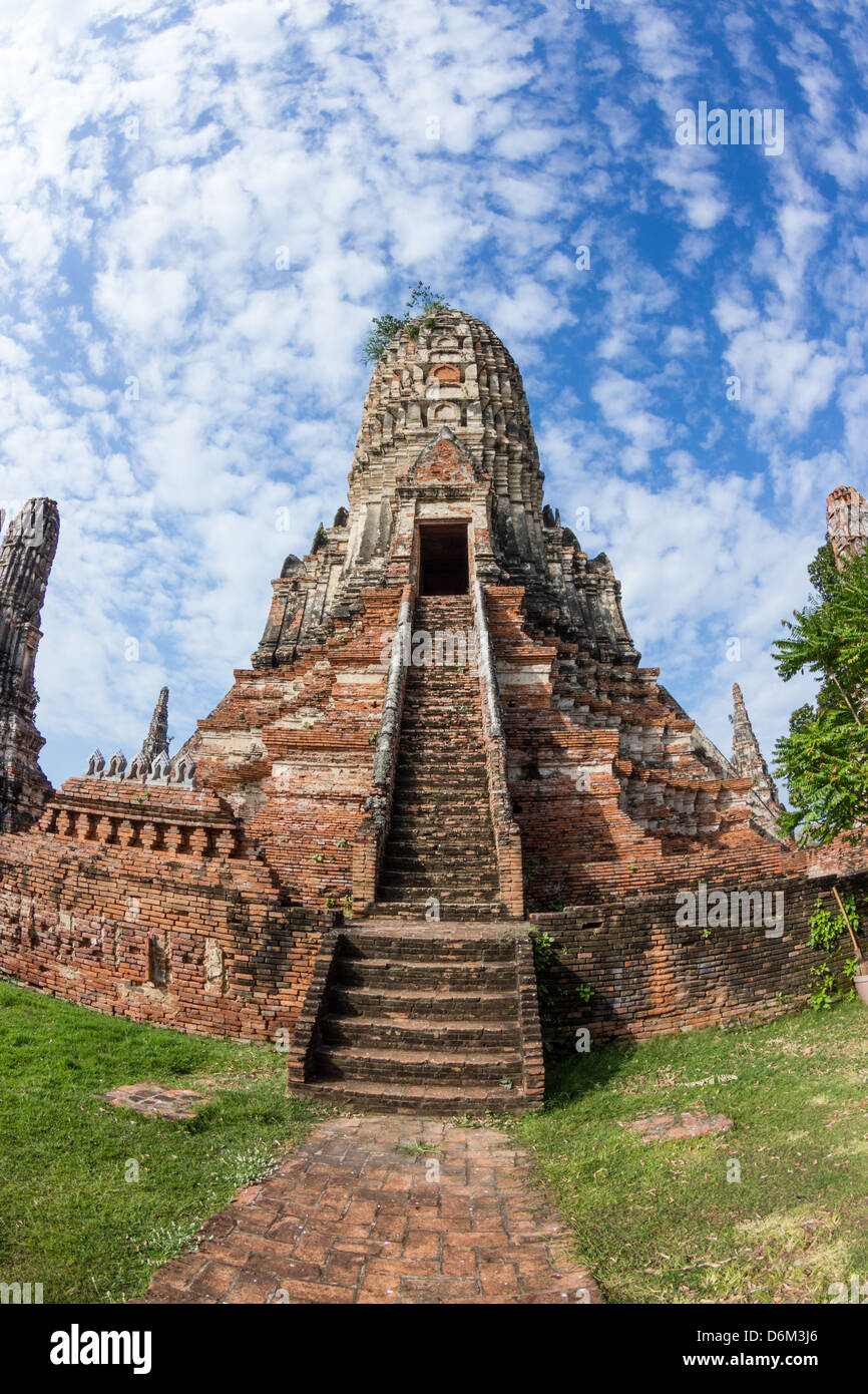 Thailand ayutthaya sacred tree hi-res stock photography and images - Alamy