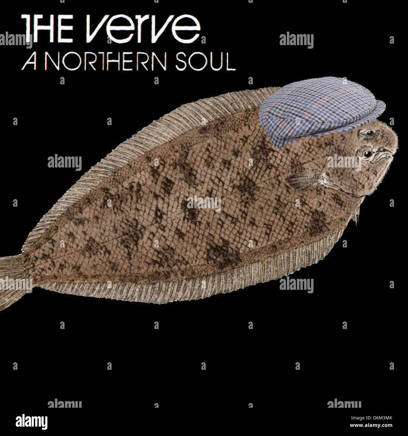 The Verve - A Northern Soul Members of the internet community were ...
