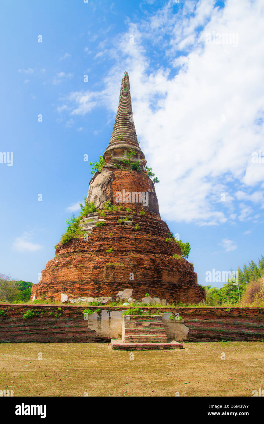 Thailand ayutthaya sacred tree hi-res stock photography and images - Alamy