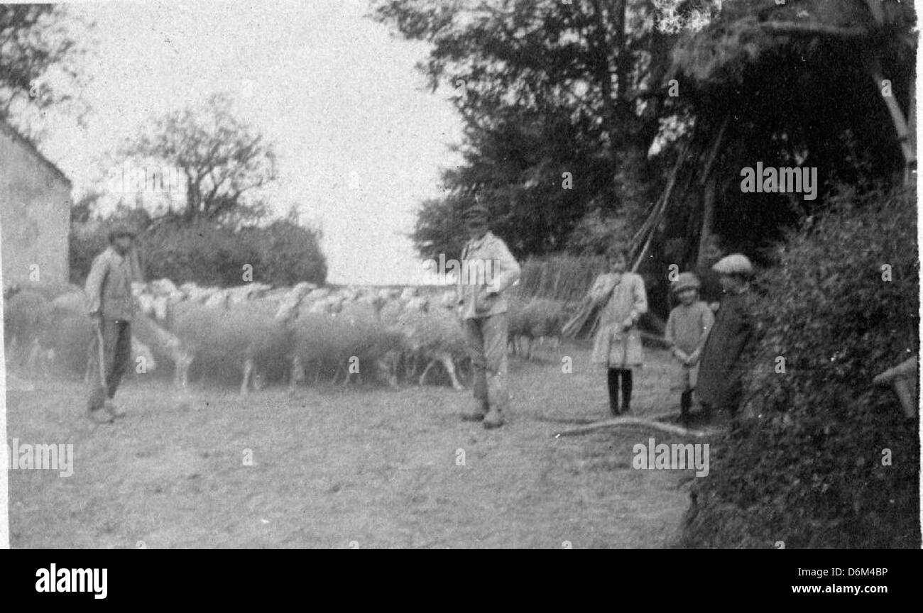 The Great War, also known as World War One, was a global conflict ...