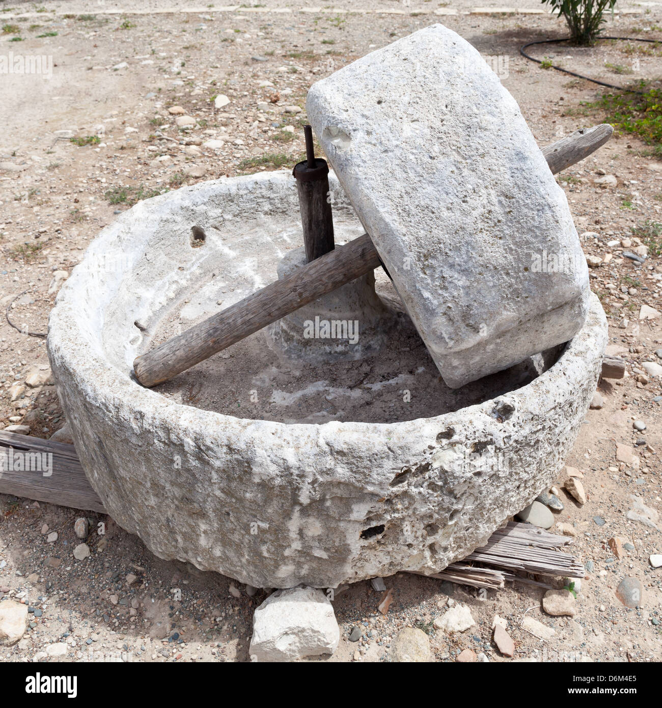 Paphian aphrodite hi-res stock photography and images - Alamy