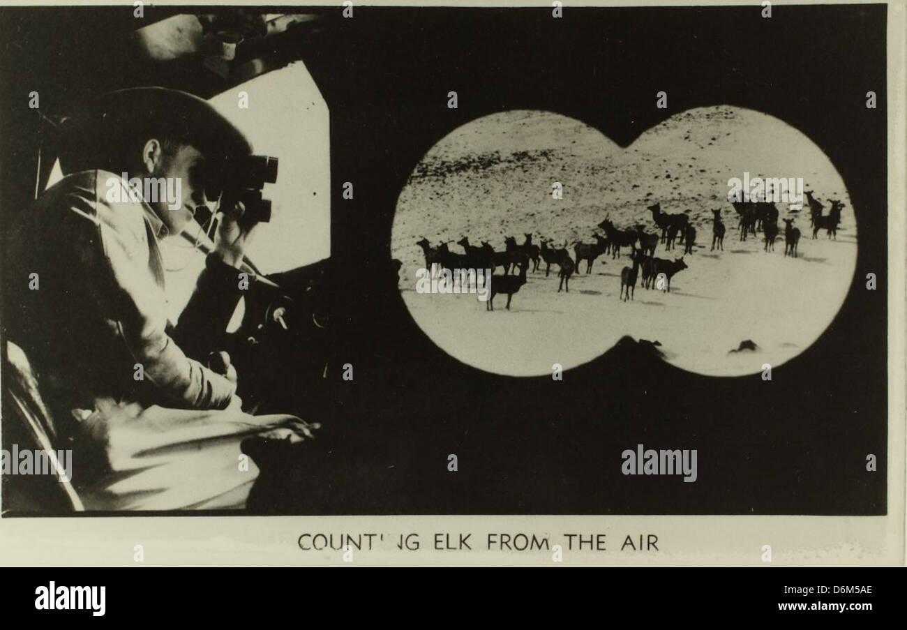 Bill Monday's Ryan Brougham aircraft was used in a horse round-up ...