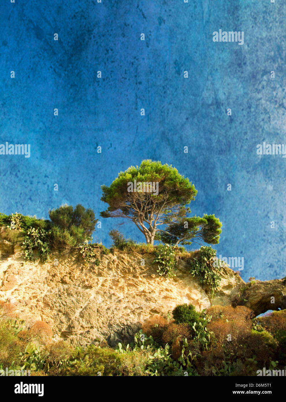 Single tree on a hill with blue grunge textured background Stock Photo ...
