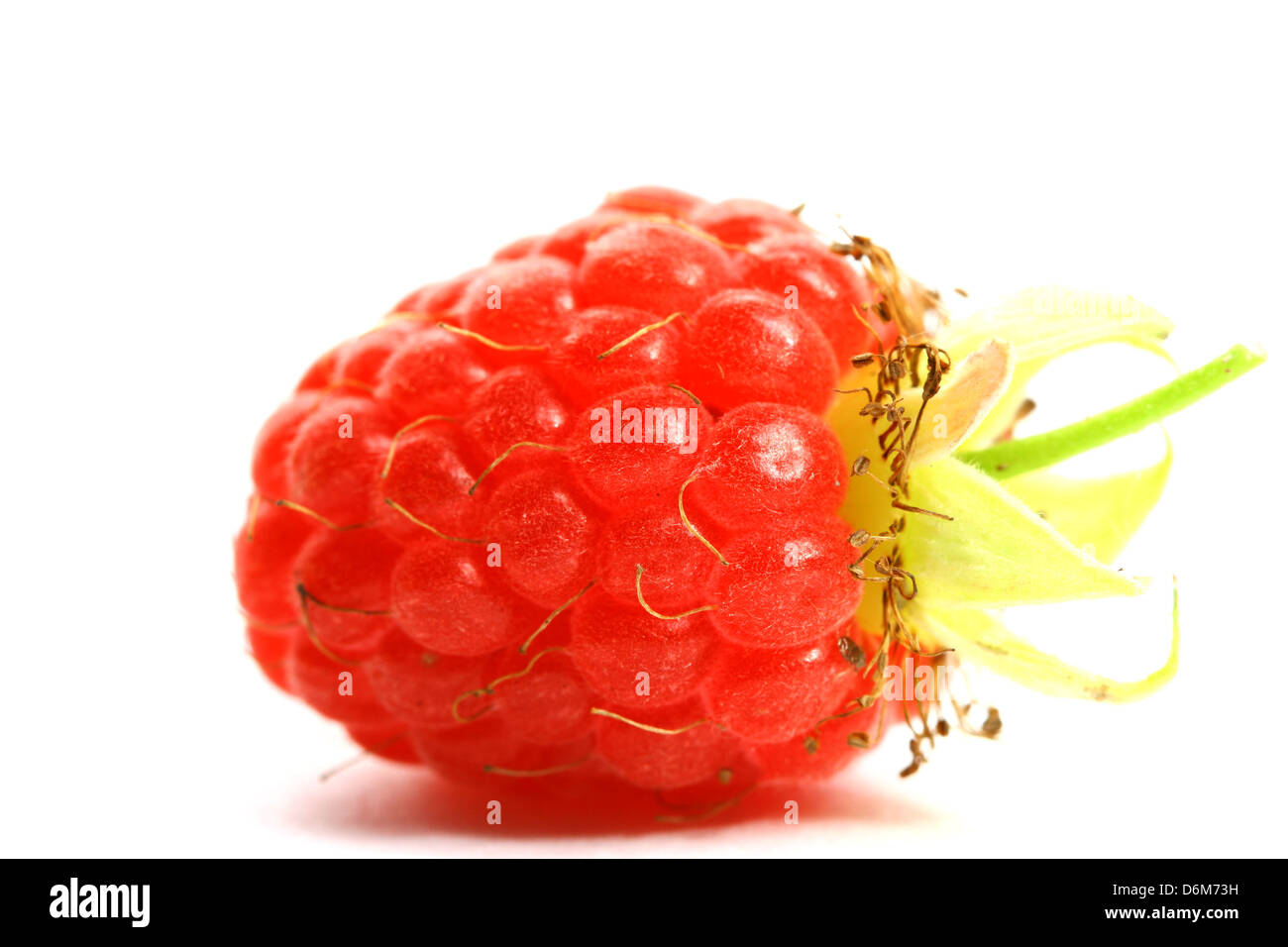 raspberry isolated on white background Stock Photo - Alamy