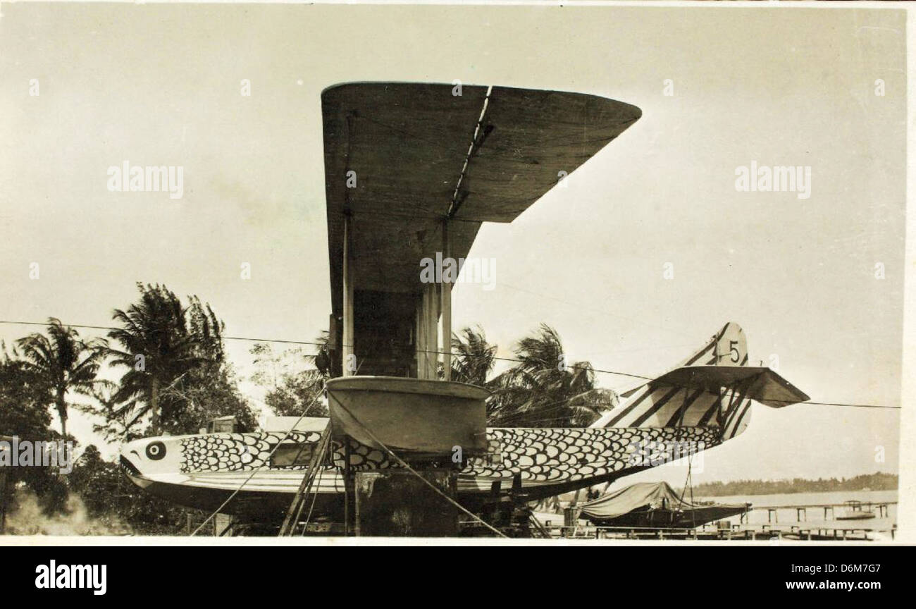 This photo features the Curtiss H-16 Big Fish flying boat, a notable ...
