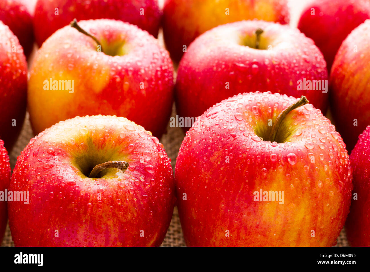 Fresh organic red apples from the local farmers market Stock Photo - Alamy