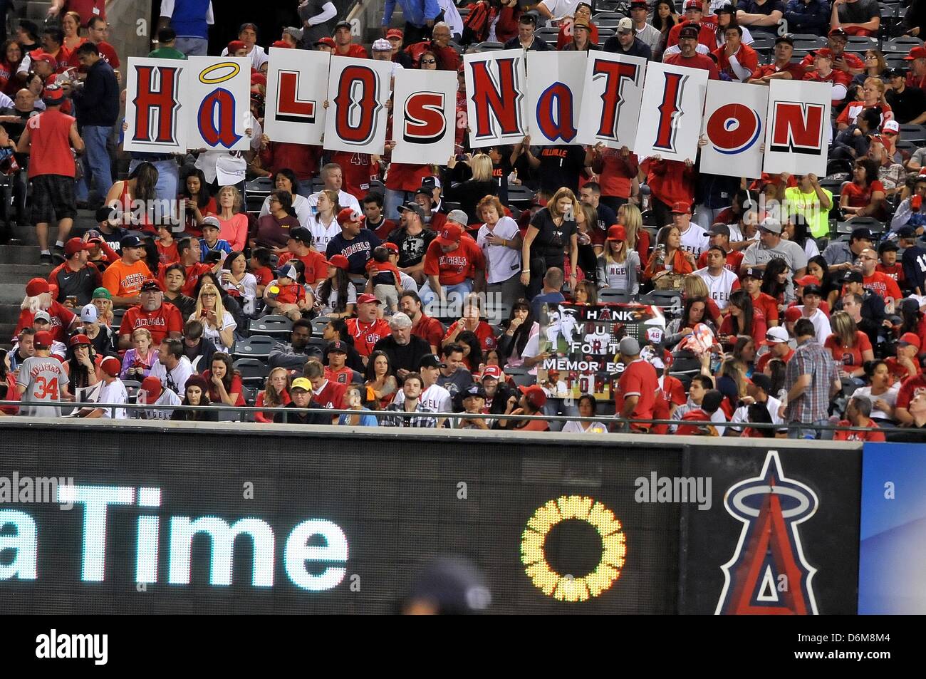 Angel Fans Funny