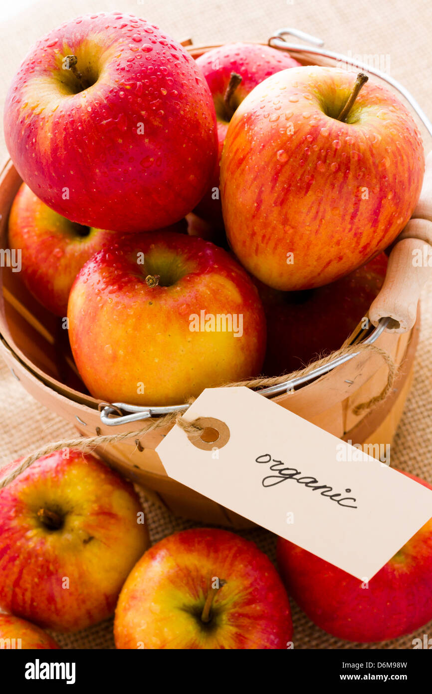 Fresh organic red apples from the local farmers market Stock Photo - Alamy