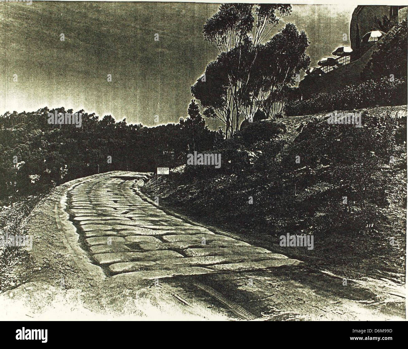 This photo captures the scenic roads behind the Ford Building at the ...