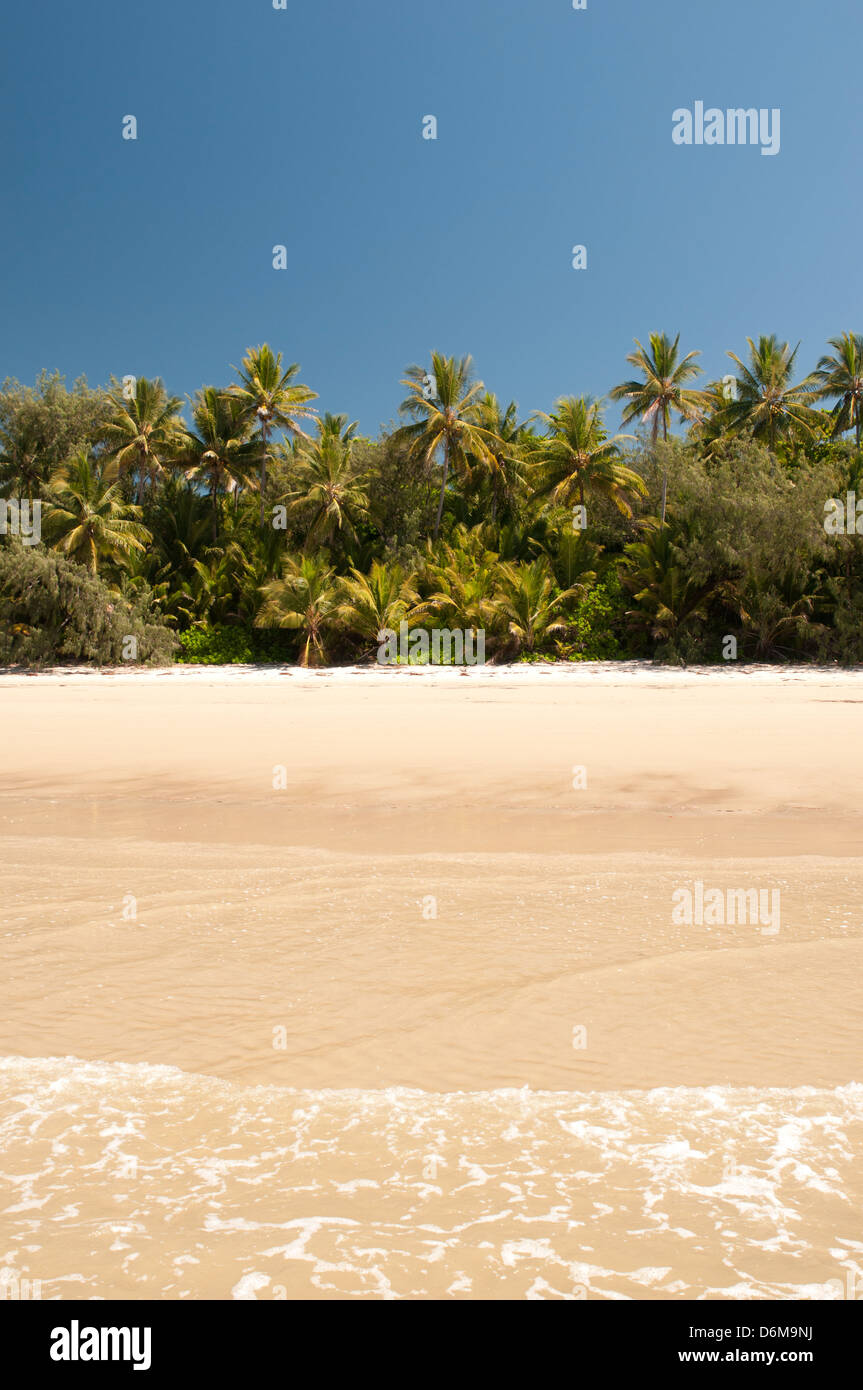 beach at Port Douglas, Far North Queensland, Australia Stock Photo - Alamy