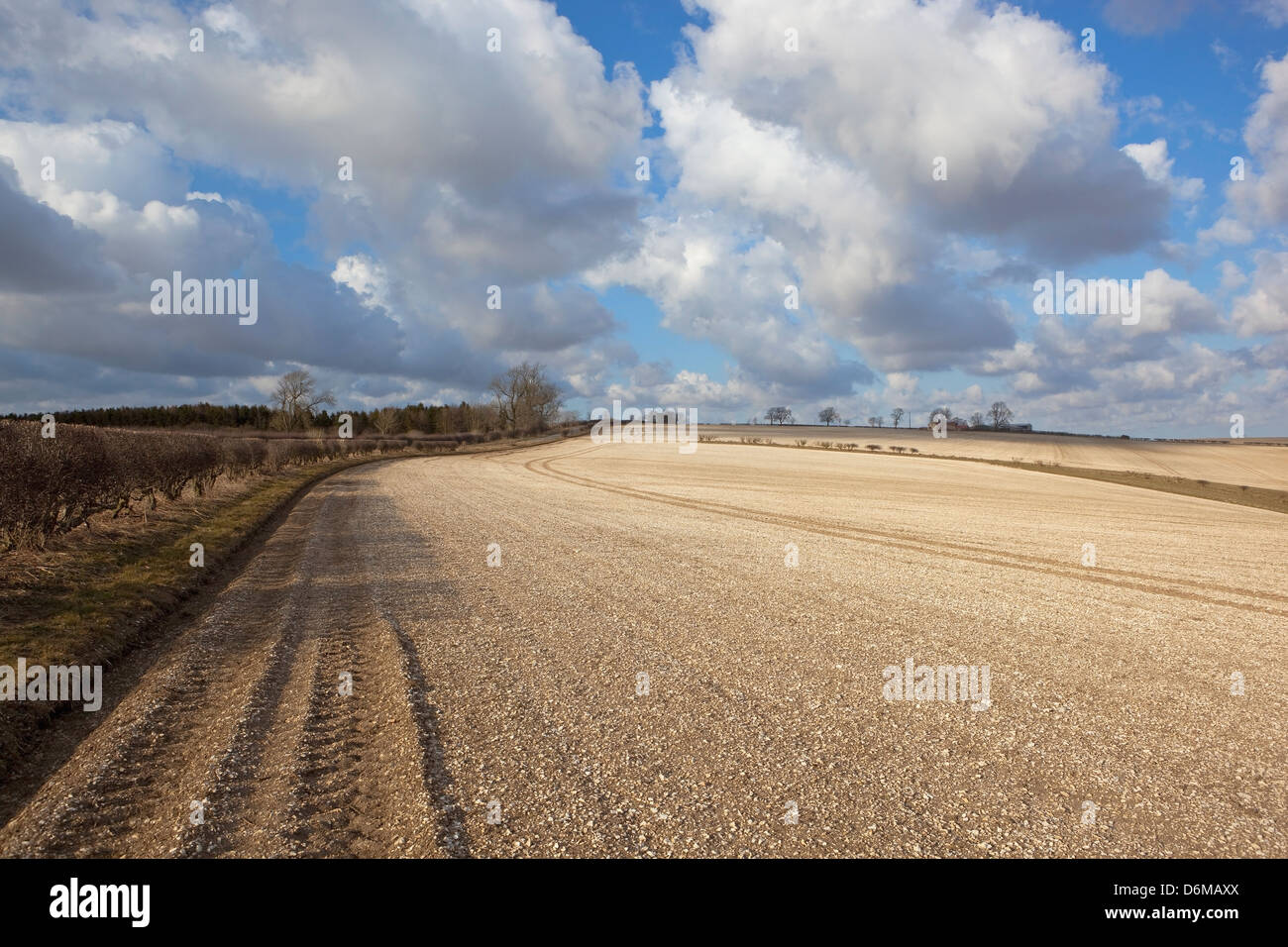 Chalk soil woods hi-res stock photography and images - Alamy