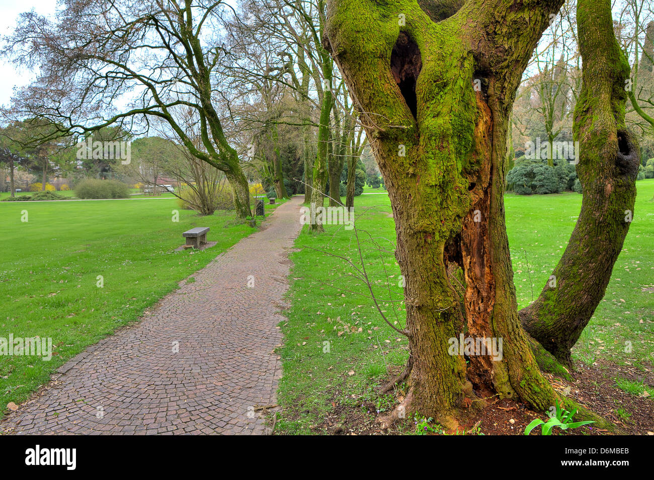 Tree Covered Walkway High Resolution Stock Photography and Images - Alamy