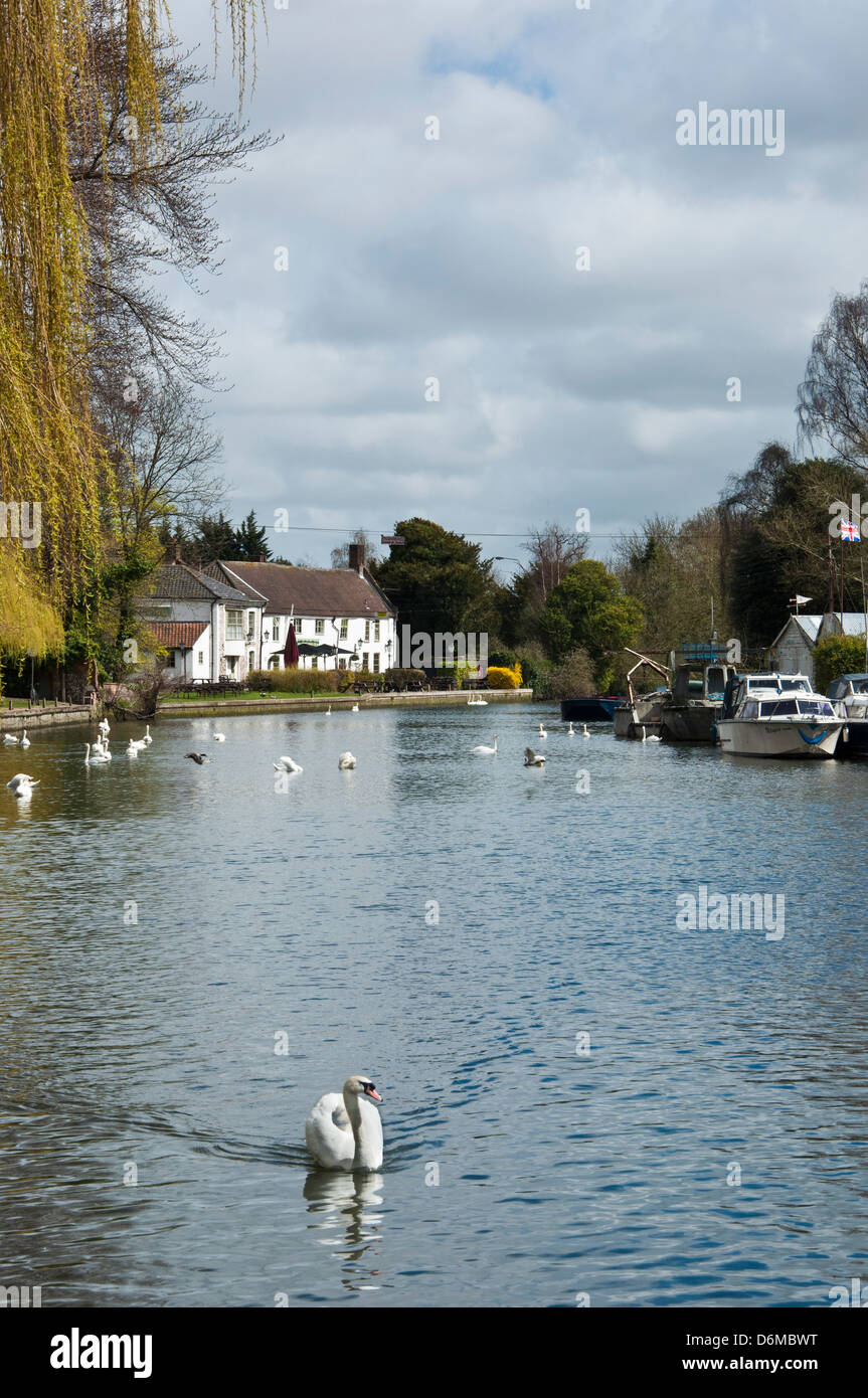 Thorpe St Andrew River Yare Stock Photo - Alamy