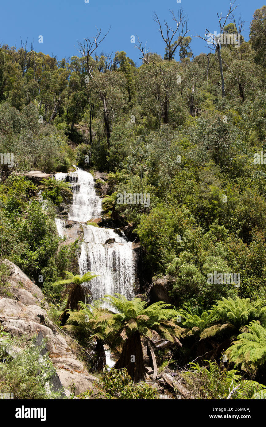 Fainter Stock Photos & Fainter Stock Images - Alamy