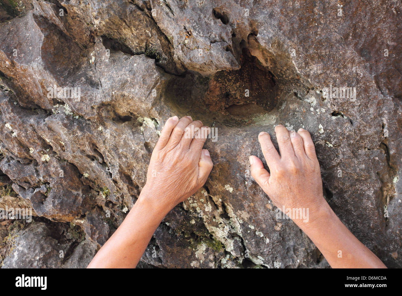 Hands of a rock climber Stock Photo - Alamy