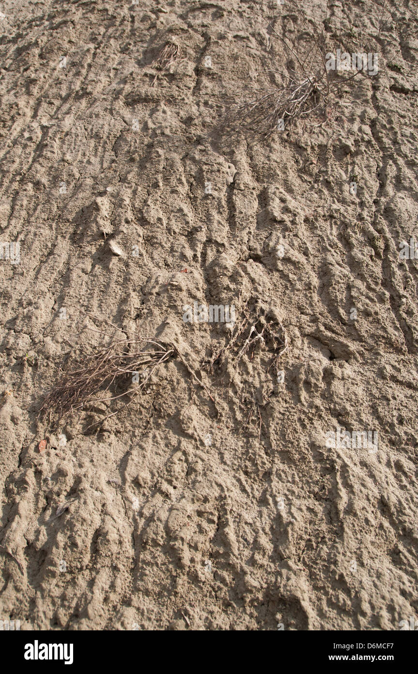 abstract dry sand ground on desert Stock Photo - Alamy