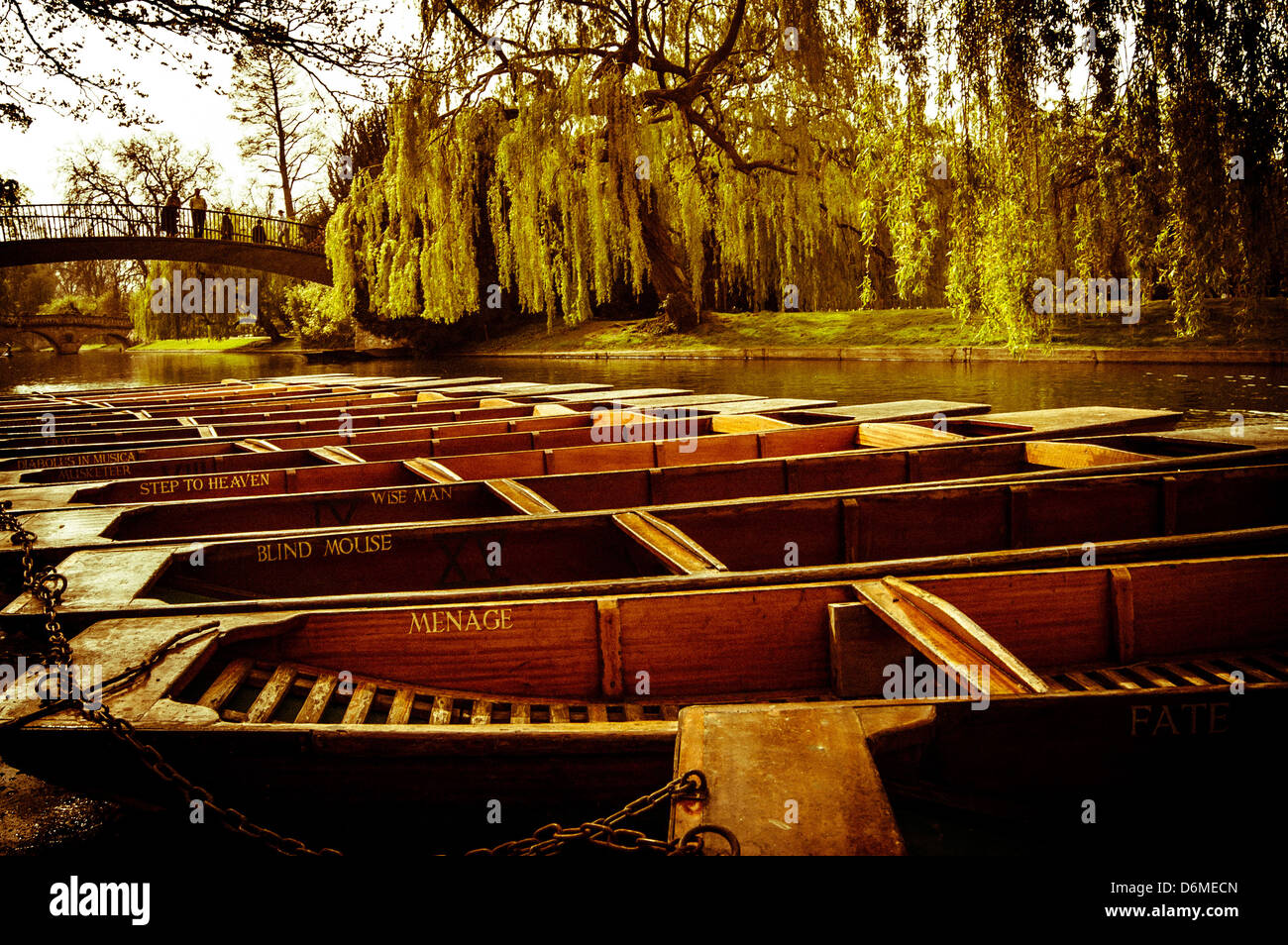 Punts on River Cam, Cambridge Stock Photo - Alamy