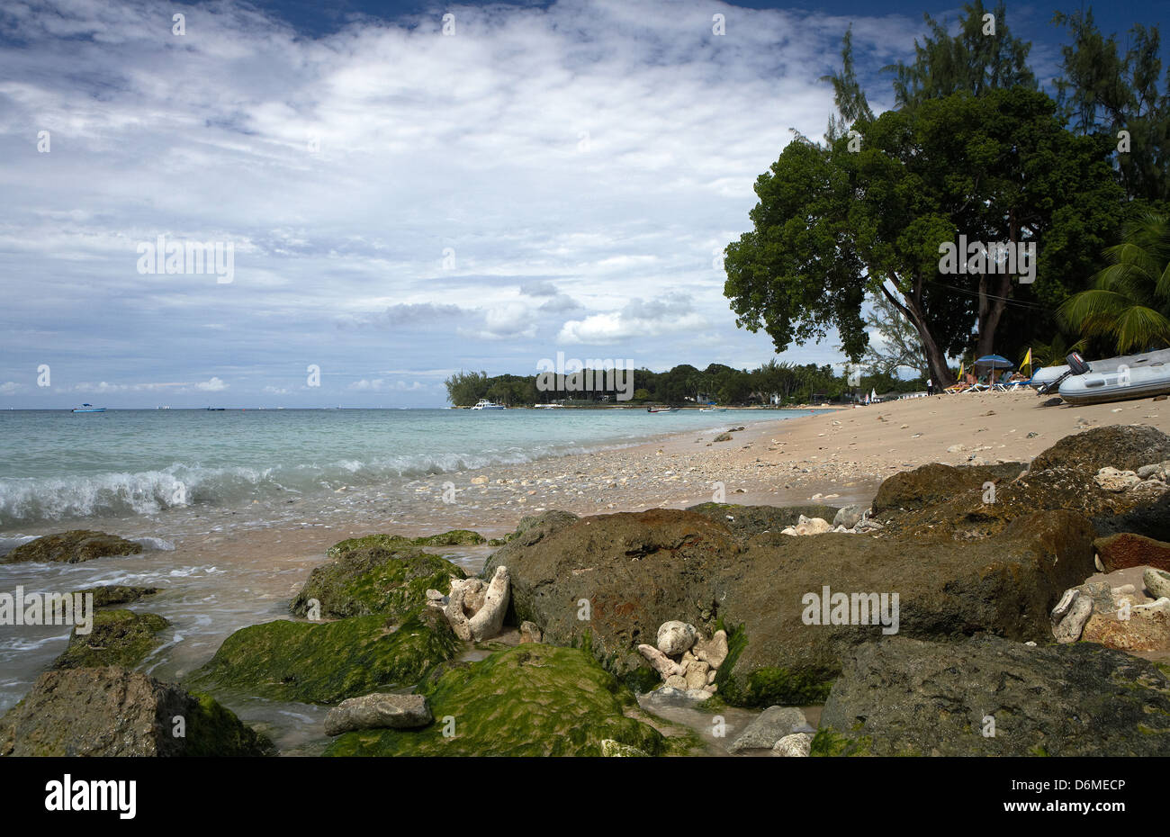 Holetown, Barbados, coral and limestone beach liegenam St. James Beach ...