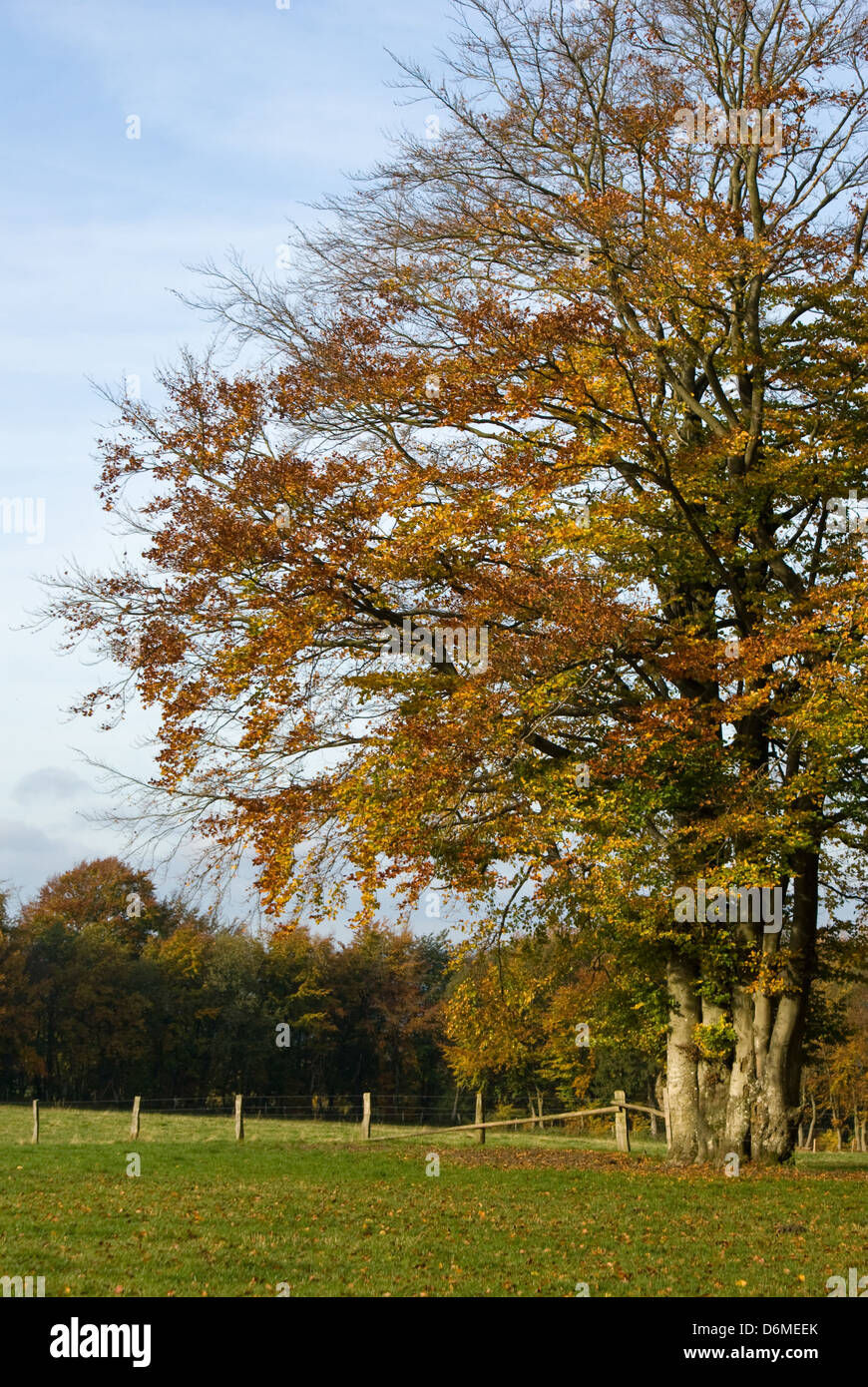 Season in belgium hi-res stock photography and images - Alamy
