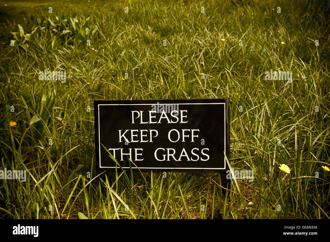 Black sign saying Please keep off the grass on the edge of lawn Stock ...
