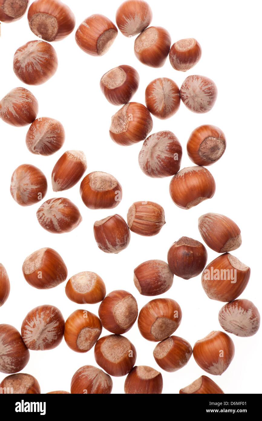 Hazelnuts on white background Stock Photo - Alamy