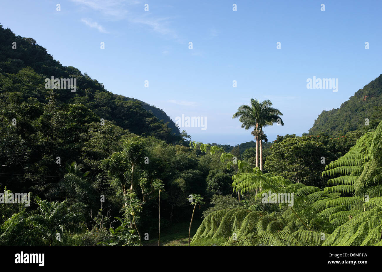 Riviere La Croix, Dominica, view over the rainforest to the Caribbean ...
