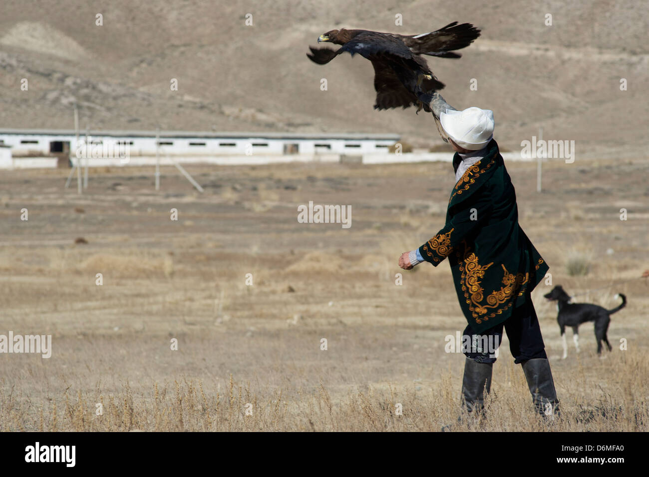 just about to fly Stock Photo - Alamy