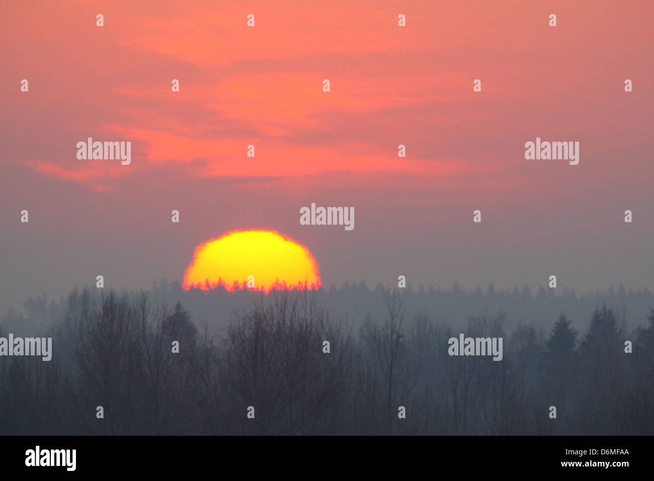 Raising sun over the forest. Europe Stock Photo - Alamy
