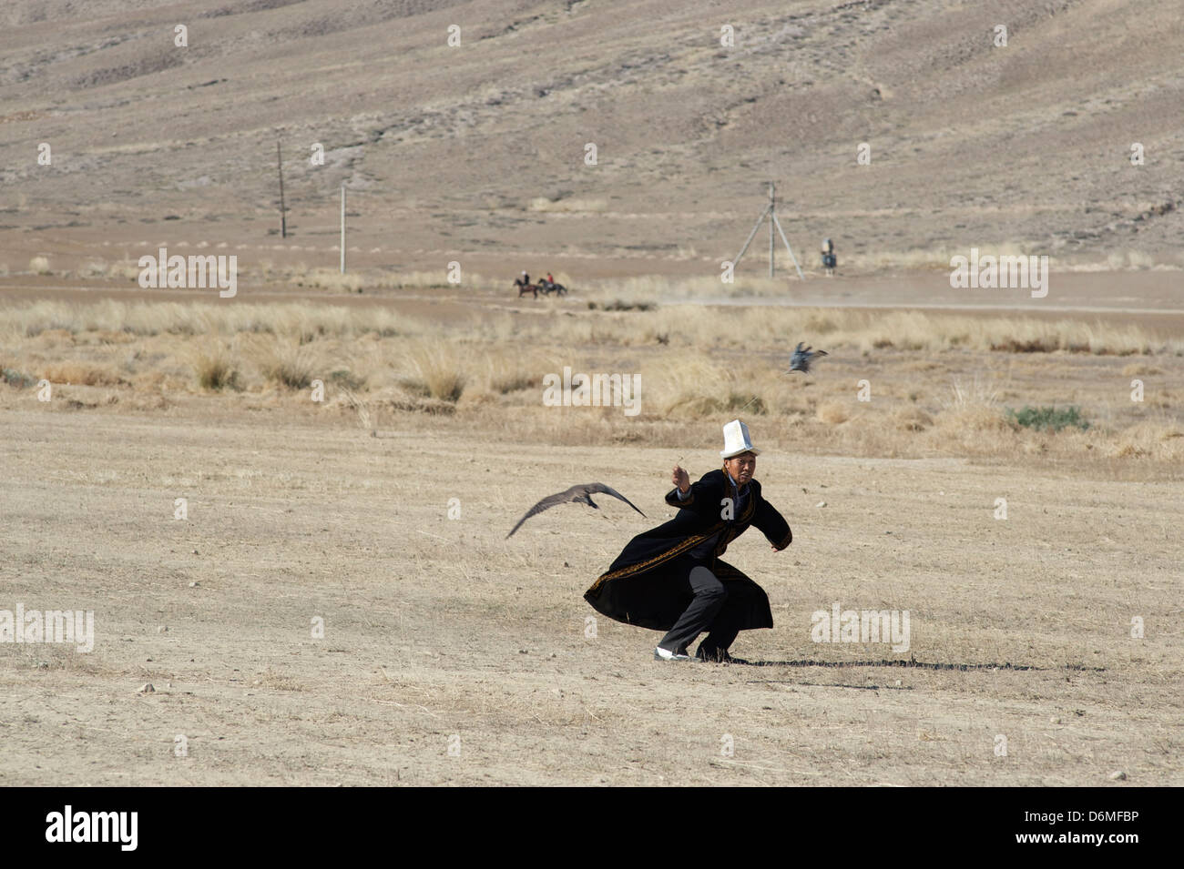 Dead hawk hi-res stock photography and images - Alamy