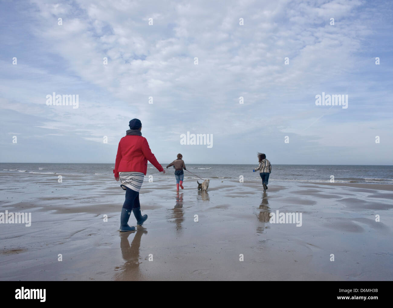 Three women walking two dogs on a beach, moving towards the sea. Woman ...