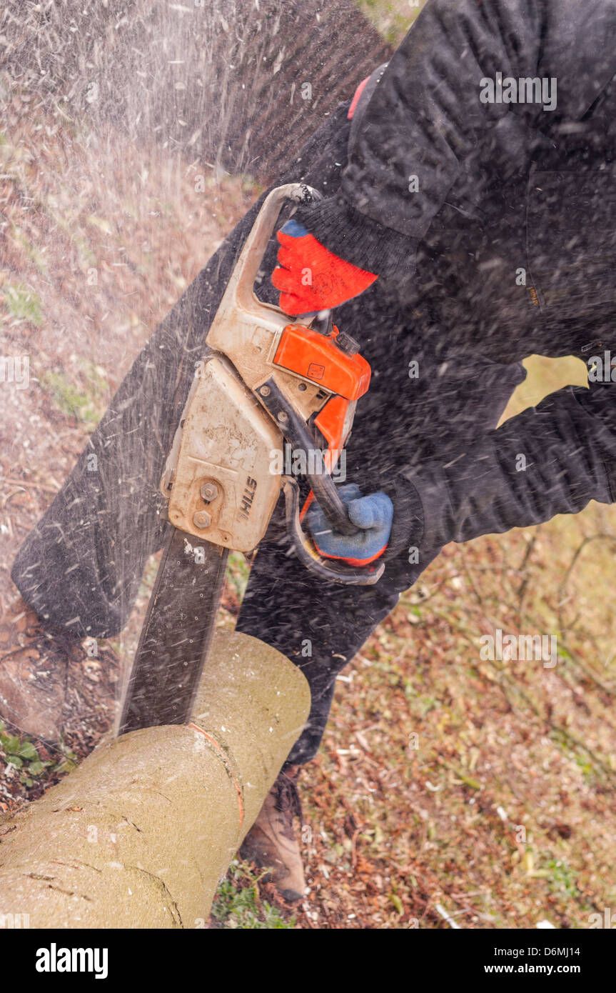 A man cutting logs with a chainsaw showing movement in the Uk Stock ...